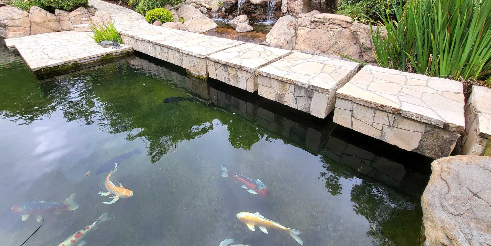 Home - Fish Art, Inc